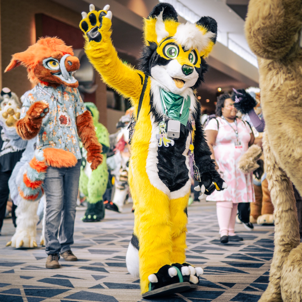 Megaplex: Florida Sun. Furry Fun.